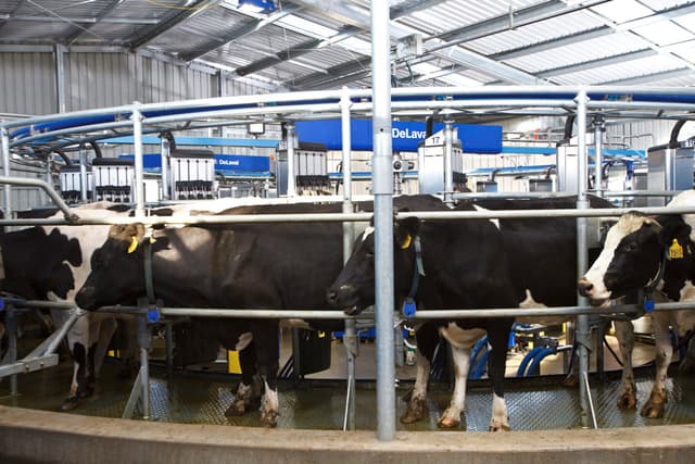 Delaval | Grupo Energia